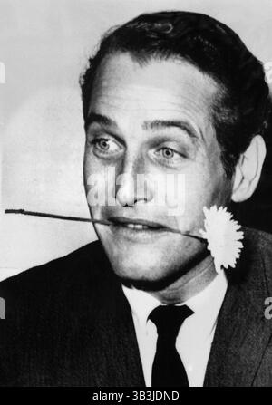 American actor Paul Newman, 1950s Stock Photo - Alamy