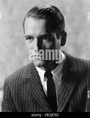 American actor Paul Newman, 1950s Stock Photo - Alamy