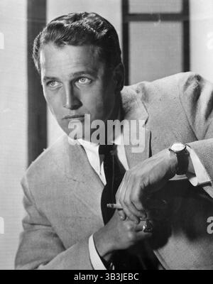 American actor Paul Newman, 1950s Stock Photo - Alamy