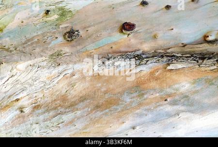 Pastel green grey, earthy colors watercolor texture painted on paper ...