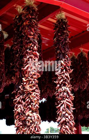 Hatch Chile Market sells dried chile peppers, Hatch, New Mexico ...