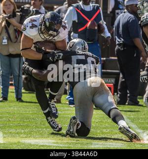 Baltimore Ravens middle linebacker Kyle van Noy (53), linebacker Dre ...