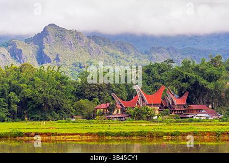 Panoramic view of traditional Toraja village in Lembang Parinding ...
