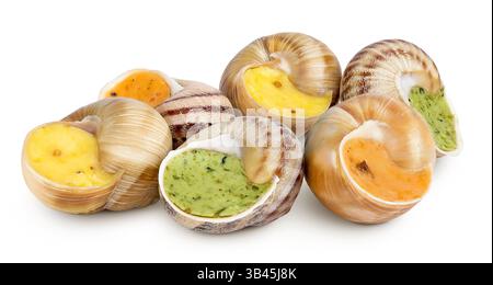 escargot snail filled with different fillings isolated on white ...