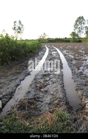 Farm field shows muddy ground with tire tracks and trees in Westhead ...