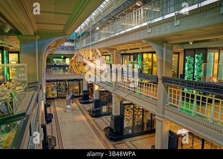 Living Worlds & Nature's Library gallery with Sperm Whale skeleton at ...