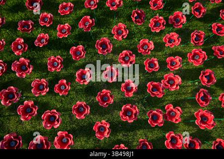 International Bomber Command Centre Poppy Display. VE80 poppy ...