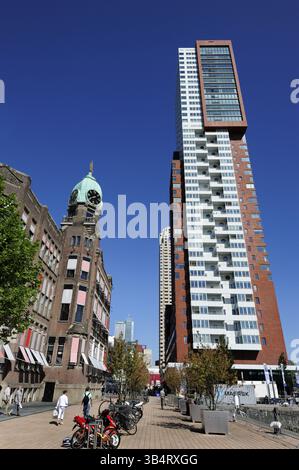 Harbour building, Rijn Haven harbour, Port of Rotterdam, Katendrecht ...