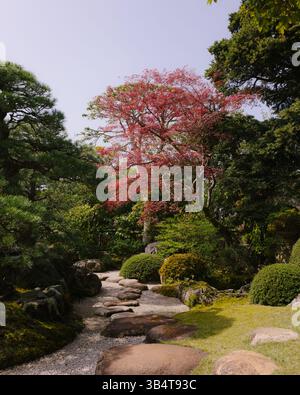 Autumn view of the tea house moss covered rocks and clipped bushes in ...