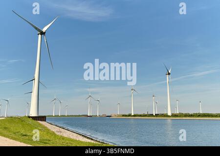 April 30, 2025 - Philipsdam-Zeeland-Netherlands: Towering wind turbines ...
