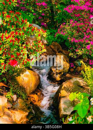 A bubbling creek running over the rocks and stones in a black and white ...