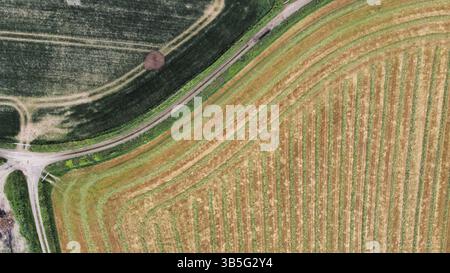 Dunsford, Devon, UK. 2nd May, 2025. UK Weather: Freshly cut grass ...