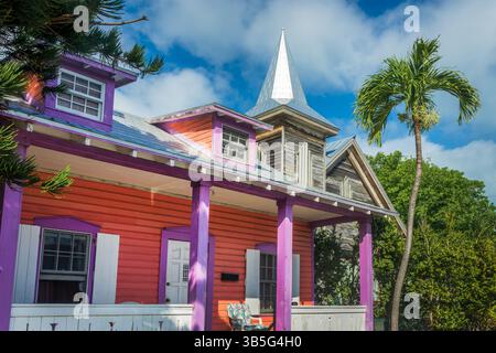 Colorful Conch house with a tropical backyard, vibrant colors ...