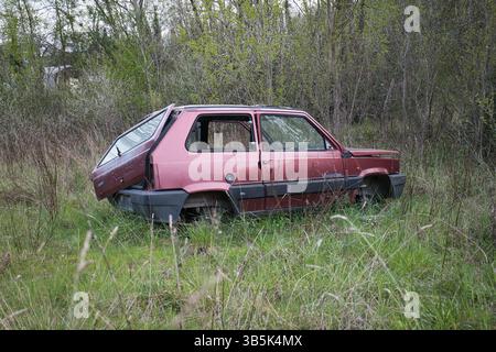 Old Fiat Panda car abandoned in the bush Stock Photo - Alamy