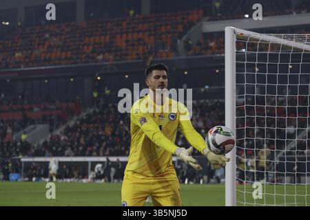 Bosnia goalkeeper Nikola Vasilj (1) saves during the World Cup Group B ...