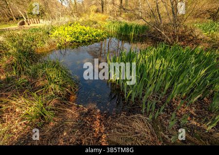Along the the circular Heddon River walk in Heddon Valley National ...