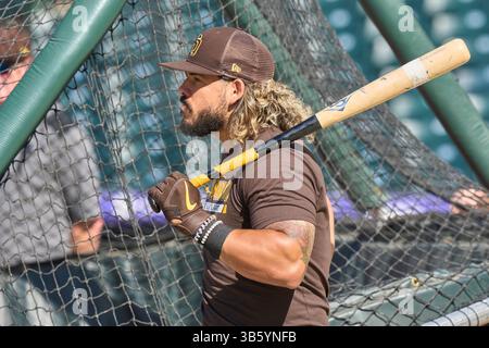 San Diego Padres catcher Jorge Alfaro plays in a baseball game against ...