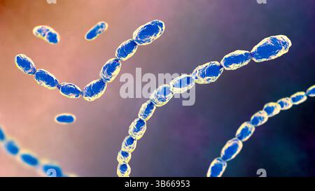 Illustration of Haemophilus ducreyi bacteria. This gram-negative ...
