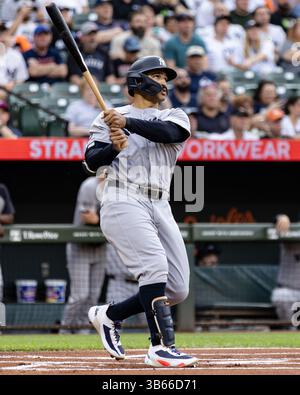 New York Yankees' Trent Grisham hits a home run against Houston Astros ...