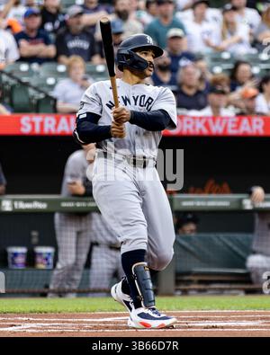 New York Yankees' Trent Grisham watches his solo home run off Tampa Bay ...