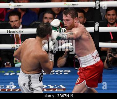 Canelo Alvarez (red trunks) goes 12 rounds with GGG at T-Mobile Arena ...