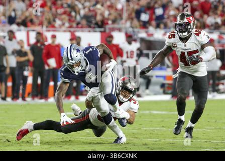 Florida wide receiver Dallas Wilson (6) celebrates after scoring a ...