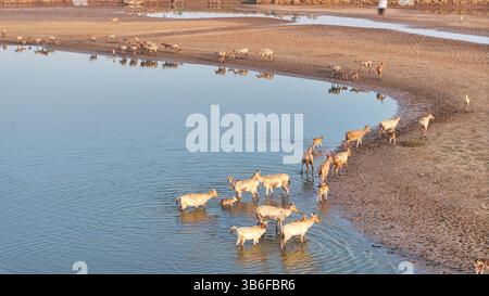 YANCHENG, CHINA - MAY 4, 2025 - Tourists are playing in the tidal flats ...