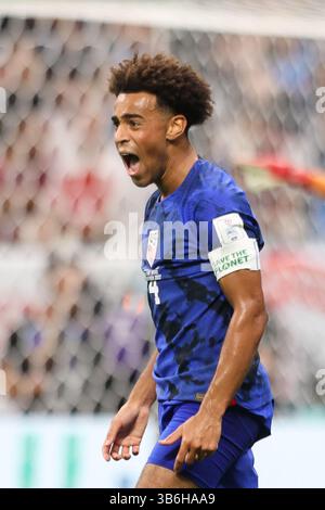 Tyler Adams of USA during the Qatar 2022 World Cup match, group B, date ...