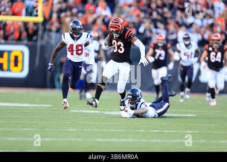 Cincinnati Bengals wide receiver Tyler Boyd (83) during an NFL football ...