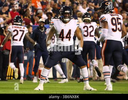 Chicago Bears linebacker Noah Sewell runs with a ball during the second ...