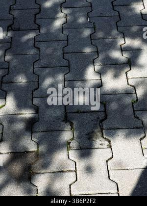 landscape design pavement pattern Concrete red tile on street sidewalk ...