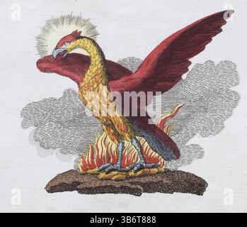 Illustration from a book depicting the different column tops. Left to ...