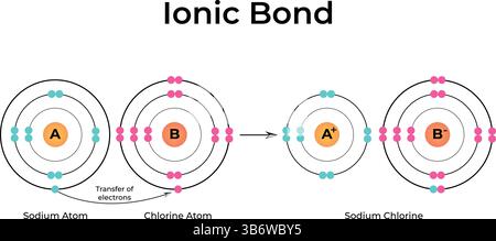 Oxygen atom diagram concept illustration Stock Vector Image & Art - Alamy