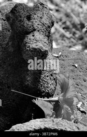 Small Shivlinga and Nandi on the banks of the river, near Someshwar ...