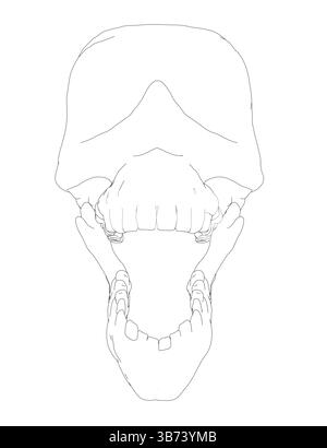 Cartoon bone is shown in a white background. Cartoon drawing of a bone ...
