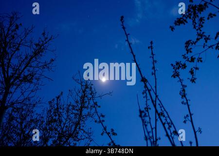 A picture that inspires calm and tranquility. The blue evening sky, the ...