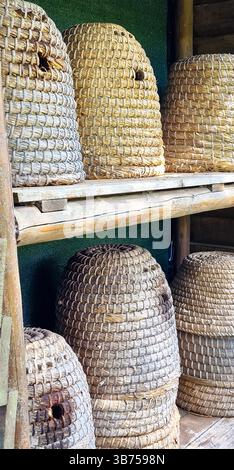 Traditional old apiary in botanical garden ¨Hortus Botanicus¨ of Leiden ...