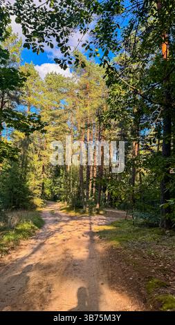 Serene Pathway Through Lush Forest with Tranquil Green Vibes Stock ...