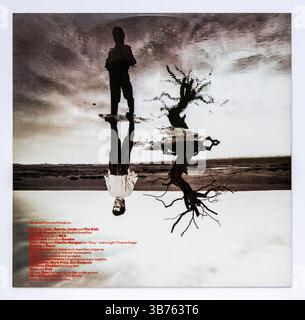 LP cover of The Riddle, the second studio album by Nik Kershaw, which ...