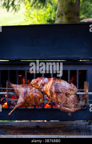Roasting pork and turkey on spit Stock Photo - Alamy