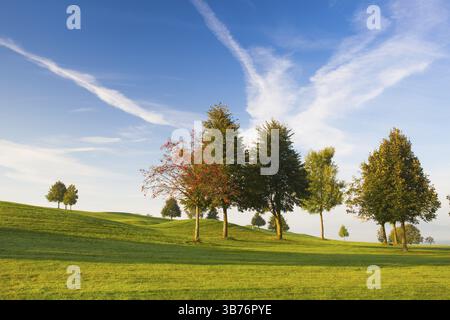 Misty morning on a empty golf course Stock Photo - Alamy