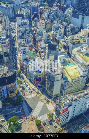 Shibuya scramble intersection (taken from Shibuya Sky). Shooting Location: Tokyo metropolitan ...
