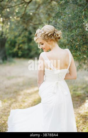 An Olive tree stands in grove in Bale, Istria, Croatia, Istria have ...