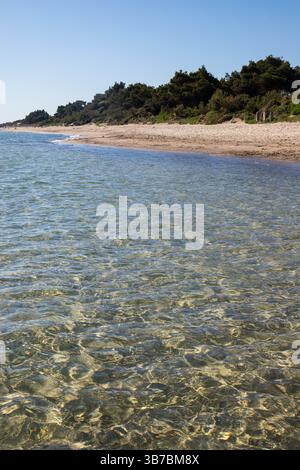 Vertical shot of a beautiful green coastal path with a clear blue ocean ...