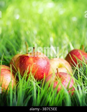 Red apples in the grass autumn Stock Photo - Alamy