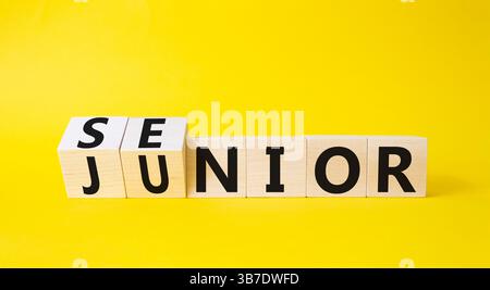 Senior and Junior symbol. Turned wooden cubes with words Senior and ...