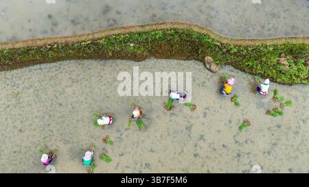 China's UNESCO Hani Rice Terraces, Yunnan, with a Panoramic View of the ...