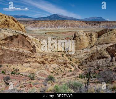 Brown and white mountains of Capitol Reef National Park in the forest ...
