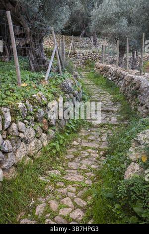 Dry stone wall, Cami de Valls, hiking trails of Menorca, GR 223 ...