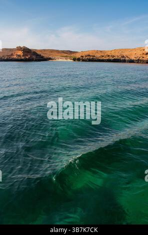 Birds, Nature, Turtles Stock Photo - Alamy